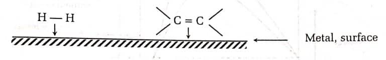 Catalytic Hydrogenation: Mechanism and Application - Chemistry Notes