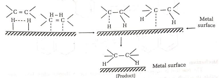 Catalytic Hydrogenation: Mechanism and Application - Chemistry Notes