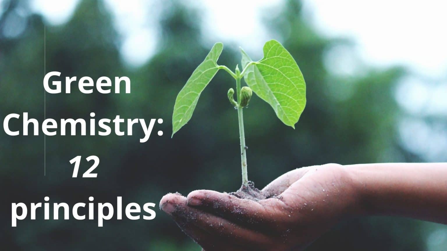 Green Chemistry: 12 principles of Green chemistry/ Sustainable ...