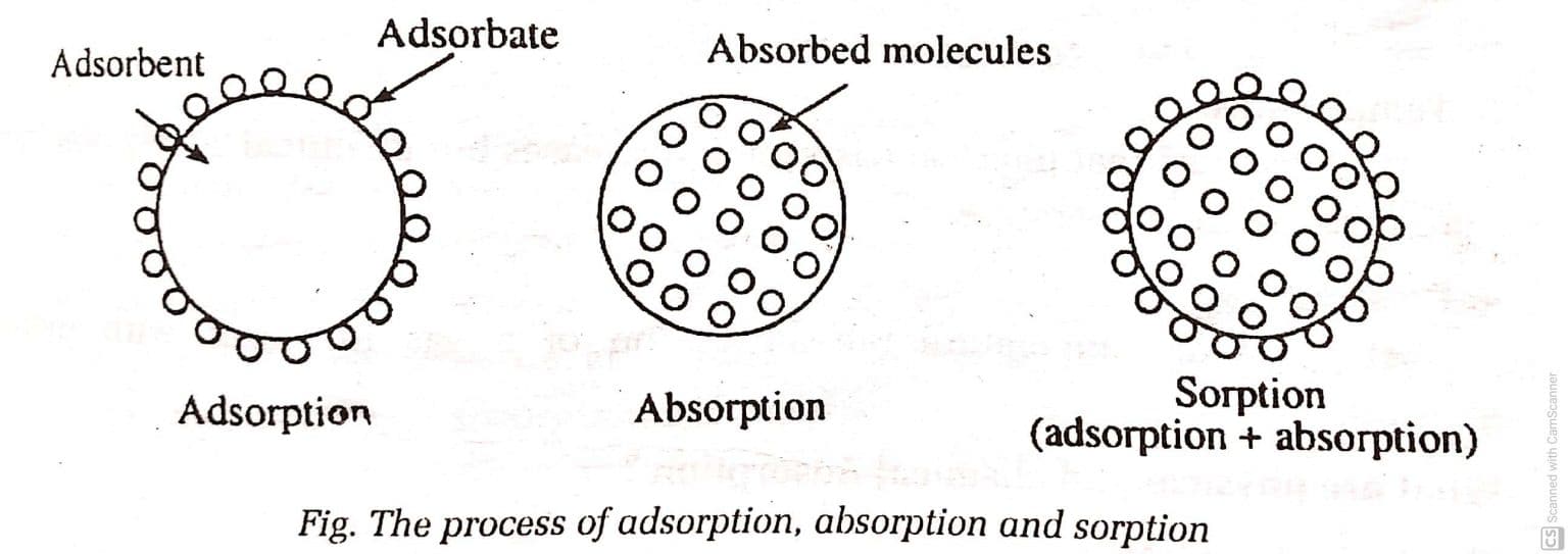 Adsorption - Mechanism, Types of Adsorption, and Applications ...