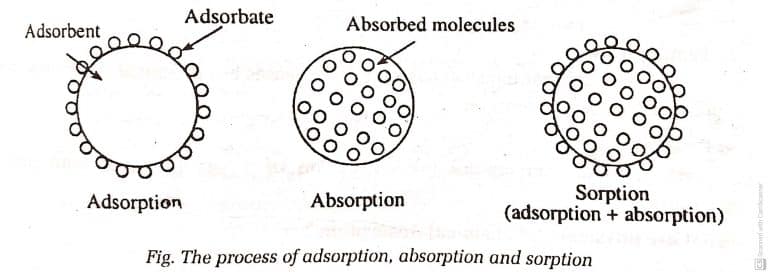 Adsorption - Mechanism, Types of Adsorption, and Applications ...