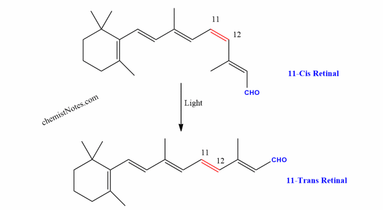 Chemistry of vision - Chemistry Notes