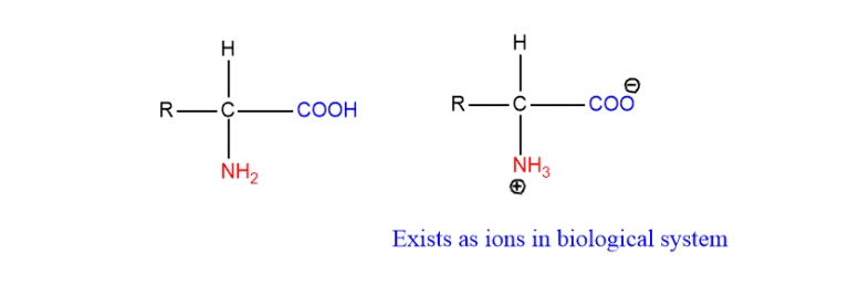 Classification of Amino acids - Chemistry Notes