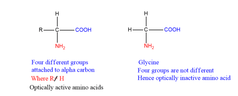 Classification of Amino acids - Chemistry Notes
