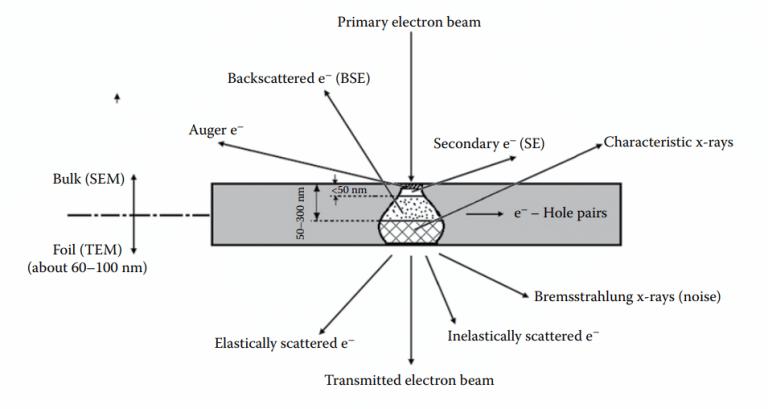 Scanning electron microscopy principle and applications - Chemistry Notes