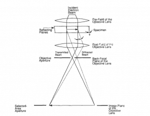 Transmission electron microscopy principle, instrumentation, and ...