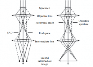 Transmission electron microscopy principle, instrumentation, and ...