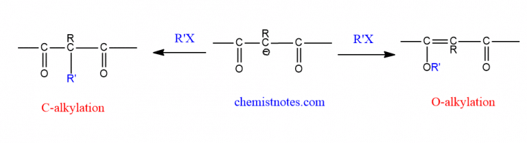 Ambident nucleophile: Definition, easy examples - Chemistry Notes