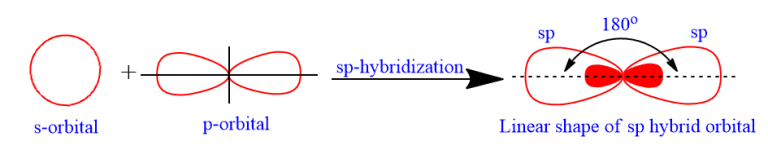 Hybridization: Definition, types and examples - Chemistry Notes