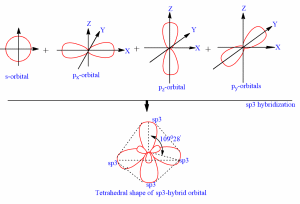 Hybridization: Definition, types and examples - Chemistry Notes