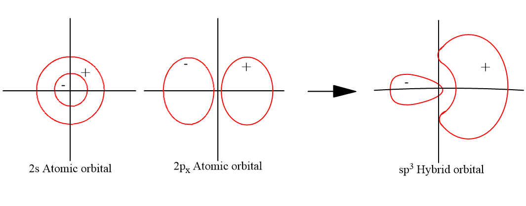Hybridization: Definition, types and examples - Chemistry Notes