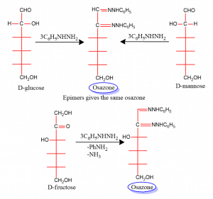 Osazone Formation Mechanism - Chemistry Notes