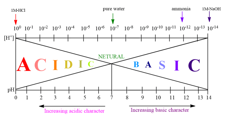pH value - pH scale: Acidic character and Basic character - Chemistry Notes