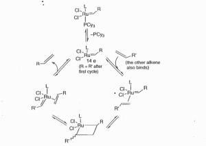 Grubb's catalyst and Schrock's catalyst - Chemistry Notes