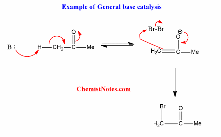 Acid base catalysis: General vs specific - Chemistry Notes