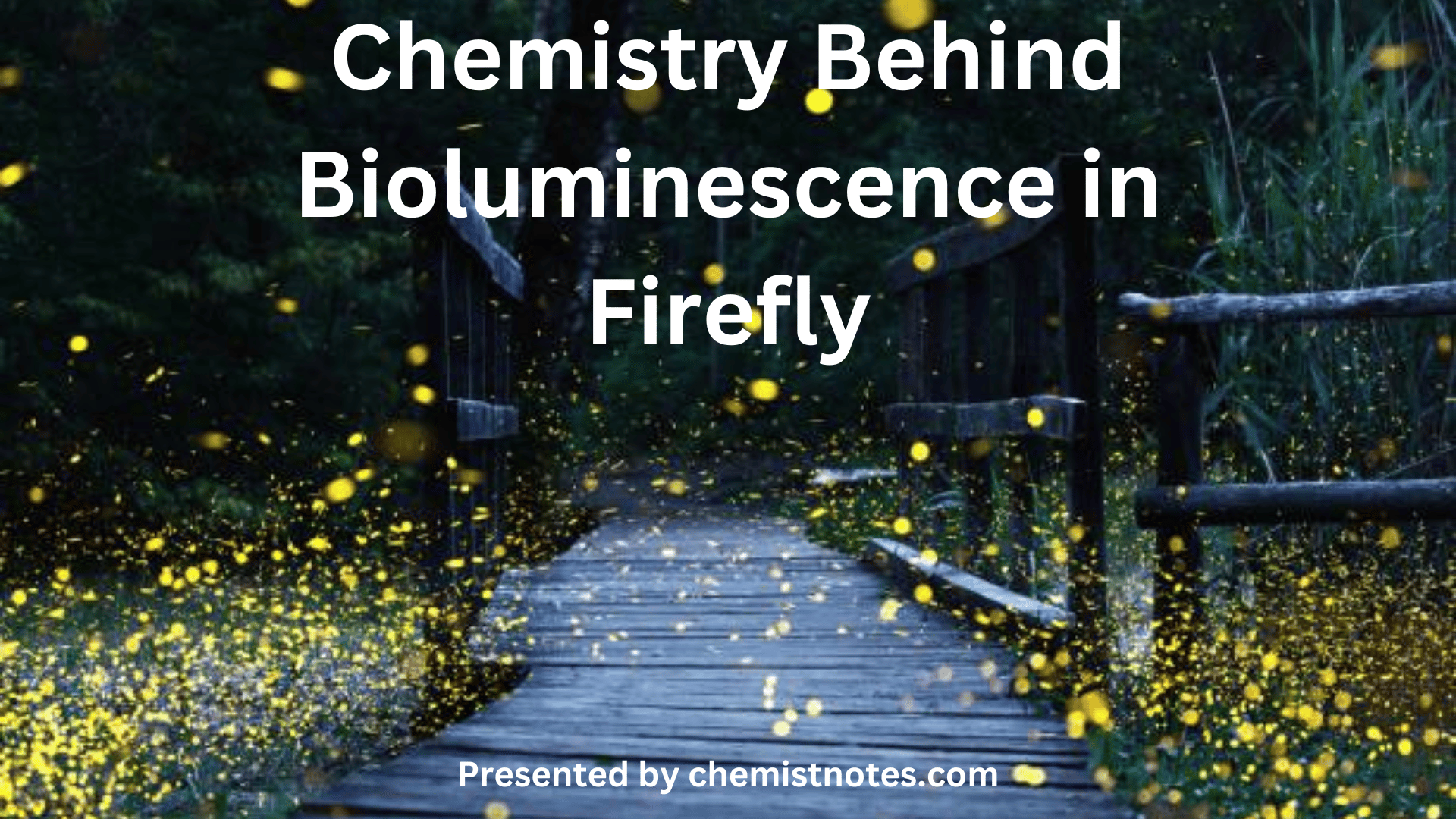 Chemistry behind bioluminescence in Firefly: Detailed Explanation ...