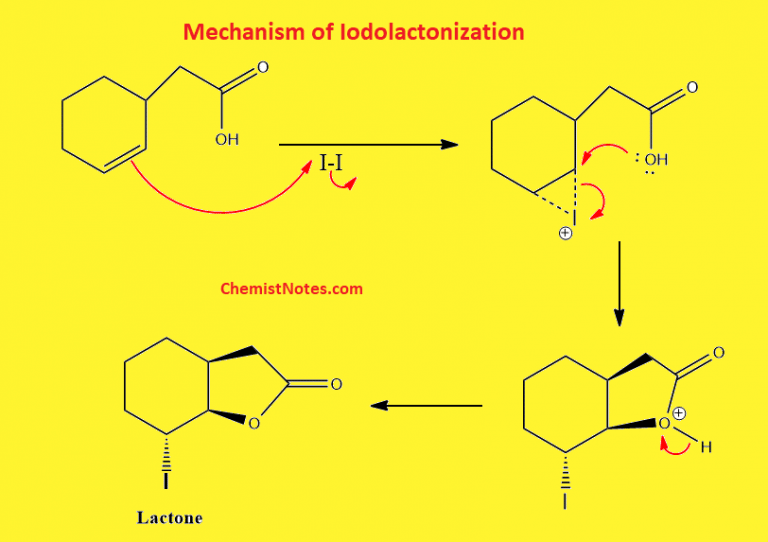 Iodolactonization: Mechanism, examples, useful application - Chemistry ...