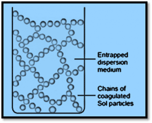 What are gels? Examples, Types, and Properties - Chemistry Notes