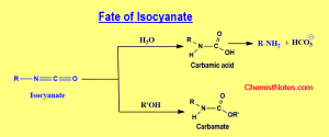 Curtius rearrangement: Easy mechanism, application - Chemistry Notes