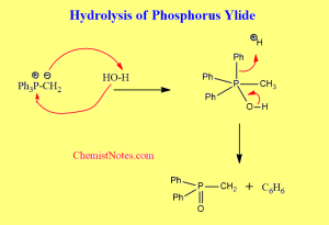 Phosphorus ylide: Definition,6 types, synthesis, useful application ...