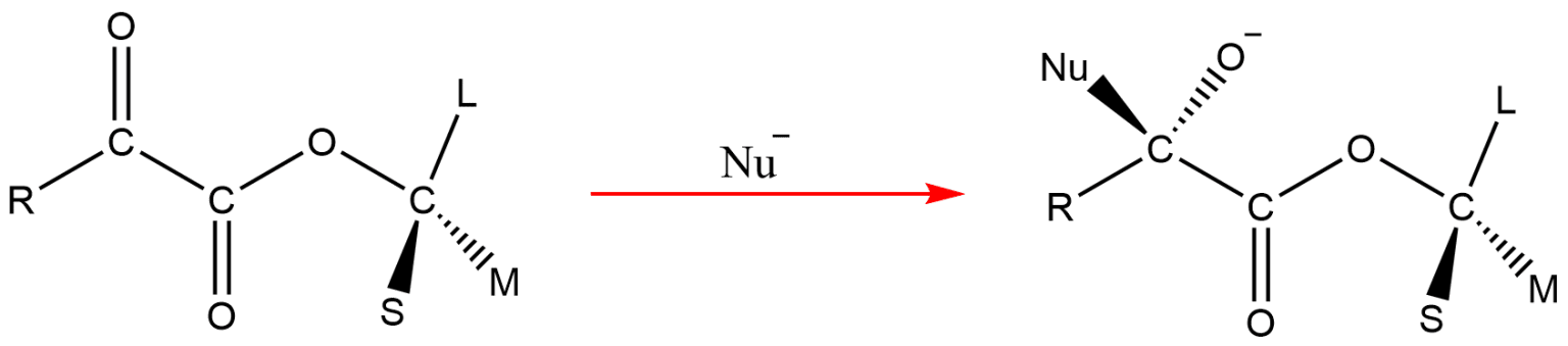 Prelog's rule Asymmetric Synthesis - Easy Explanation - Chemistry Notes