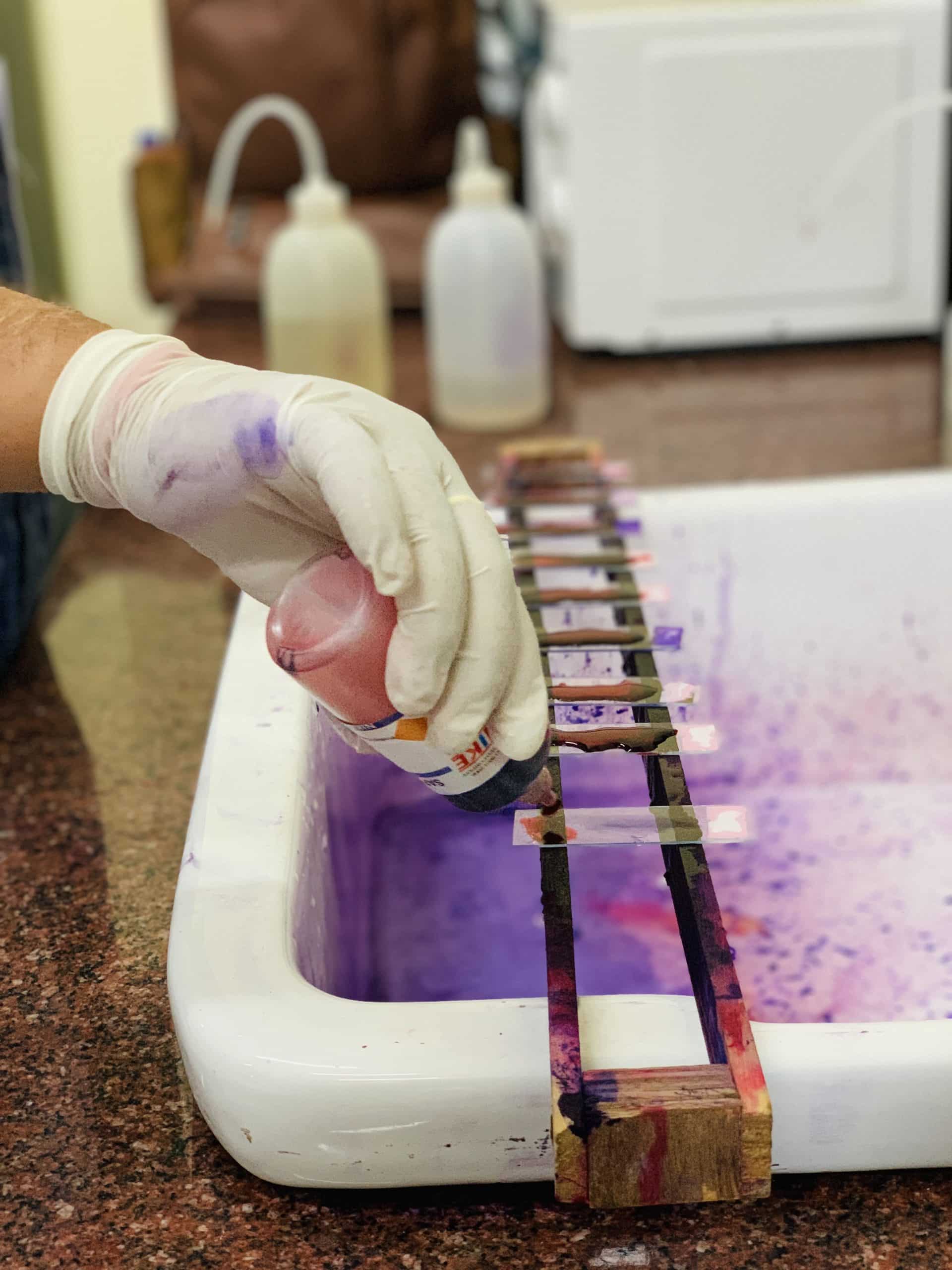 Isolation of Bacteria: Easy Procedure - Chemistry Notes