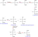 Absolute and Relative Configuration: Easy Explanation - Chemistry Notes