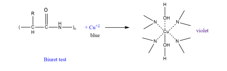 Laboratory test for protein: 7 easy protocol - Chemistry Notes
