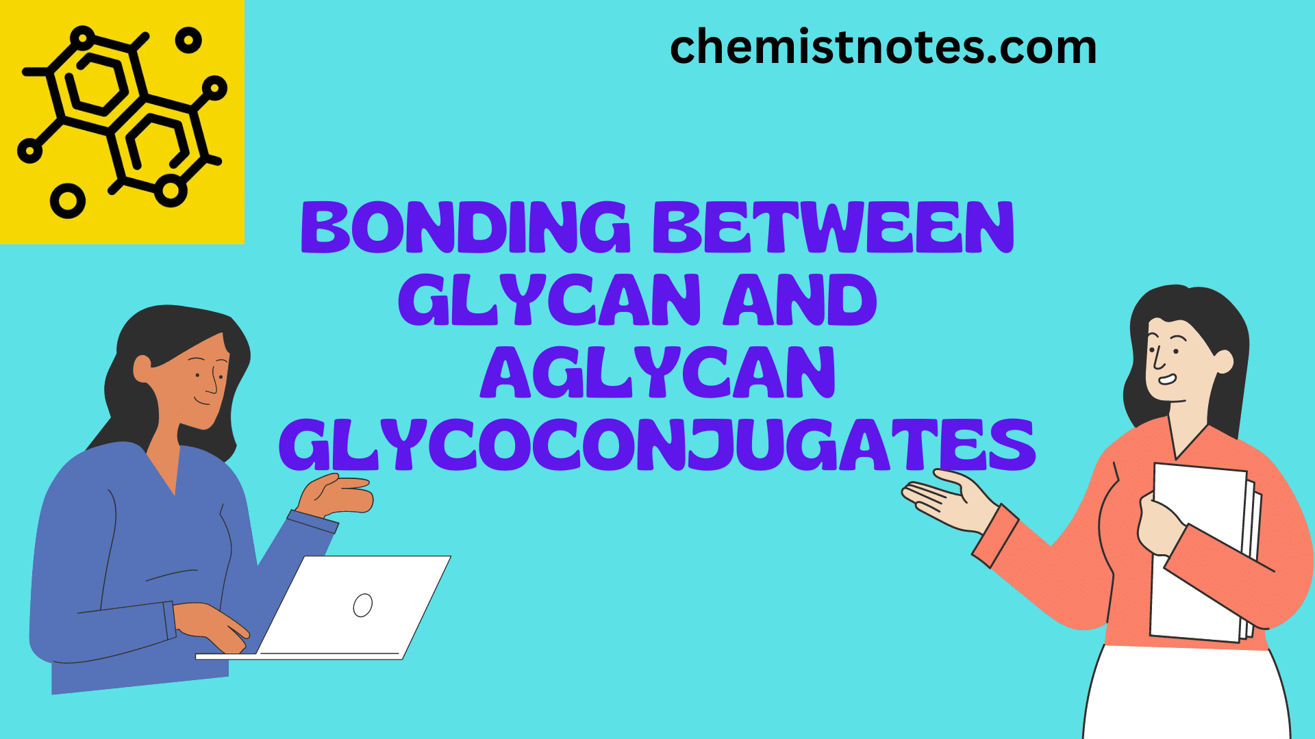 Glycoconjugates: Definition, 3 Major Types, and Reliable Function ...