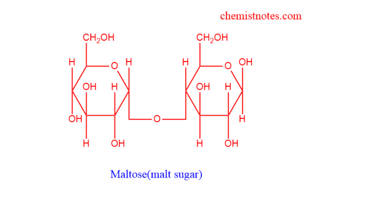 Disaccharides: Definition, classification, examples, and 4 reliable ...