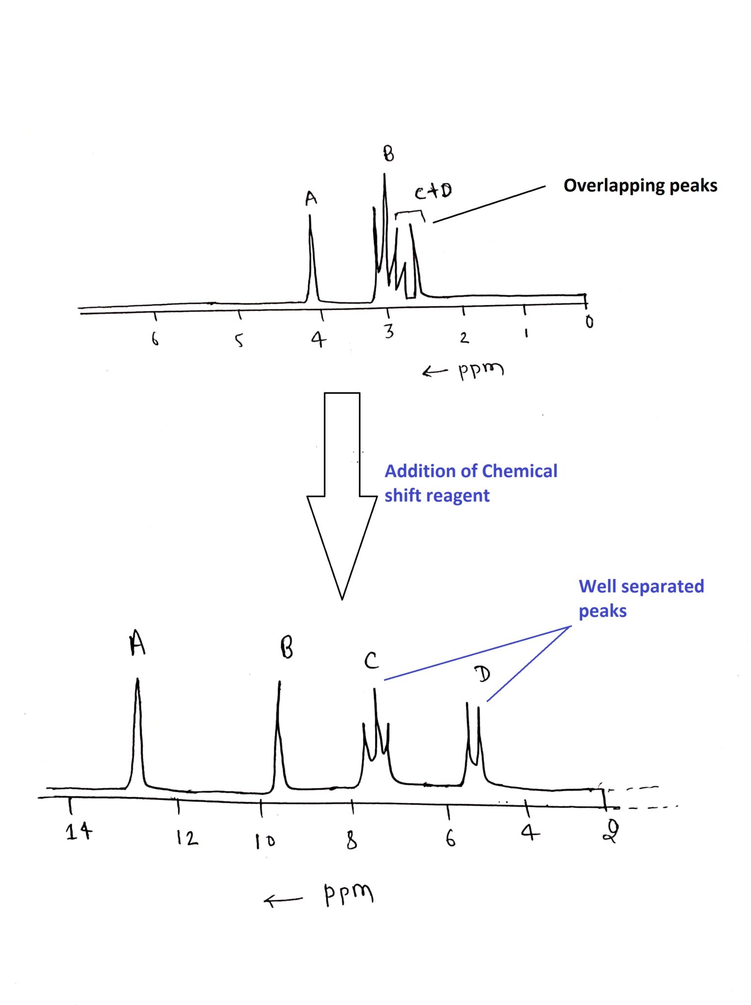 Chemical shift reagents and Chiral lanthanide shift reagents: How does ...