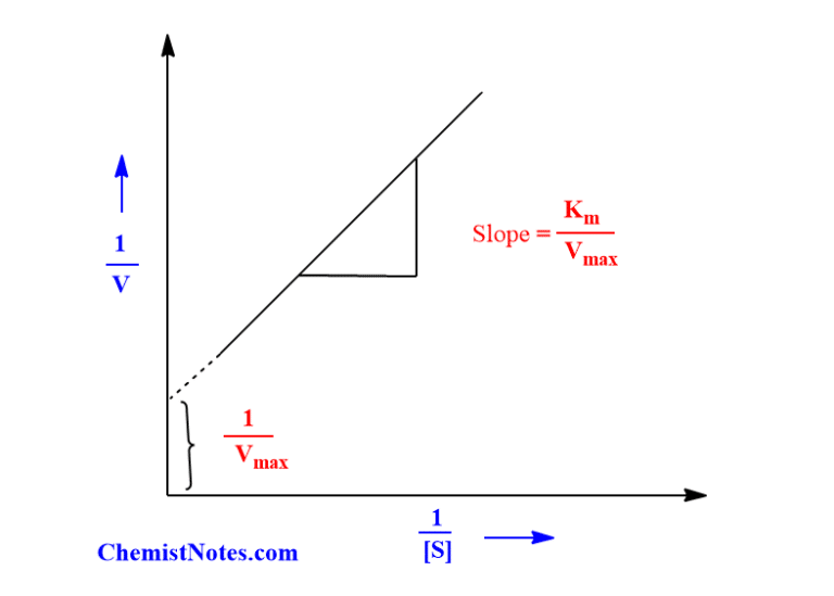 Michaelis-Menten Equation: Assumptions, derivation, graphs - Chemistry ...