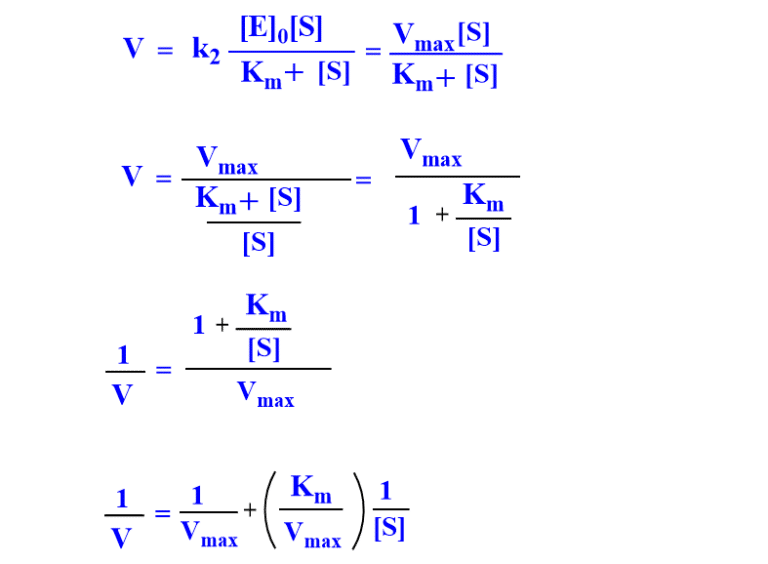 Michaelis Menten Equation Assumptions Derivation Graphs Chemistry Notes