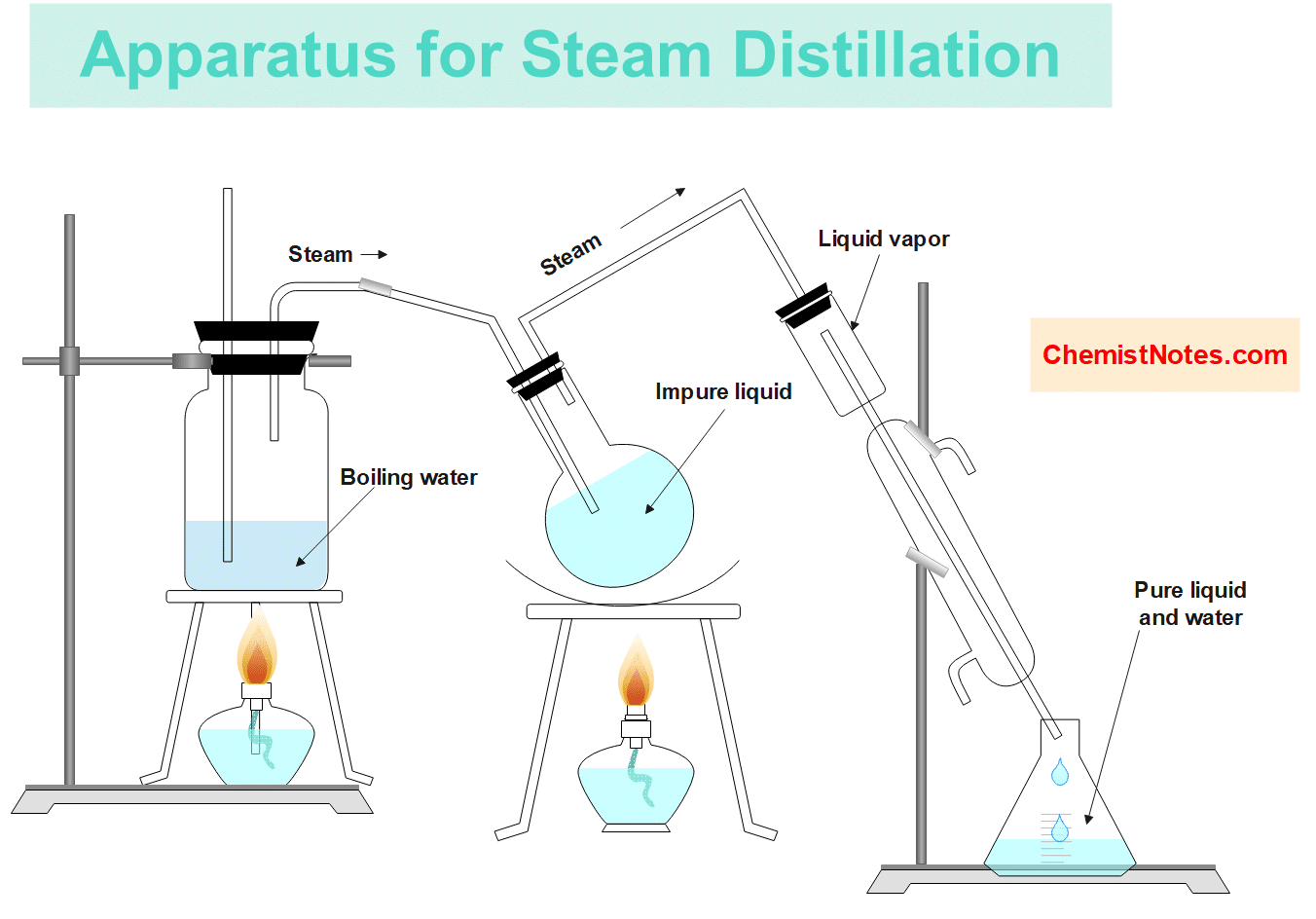 Steam Distillation; Apparatus and 2 important examples - Chemistry Notes