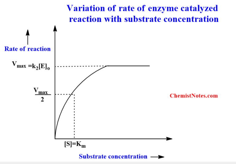 Michaelis Menten Equation Assumptions Derivation Graphs Chemistry