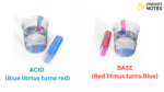 Litmus Paper: Definition, Chemistry, Test, and 4 important Applications
