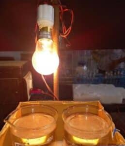 Brine Shrimp Bioassay (Biological assay) - Chemistry Notes