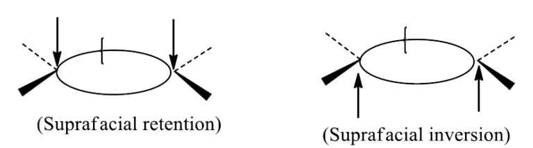 Sigmatropic Rearrangement: Easy Explanation - Chemistry Notes
