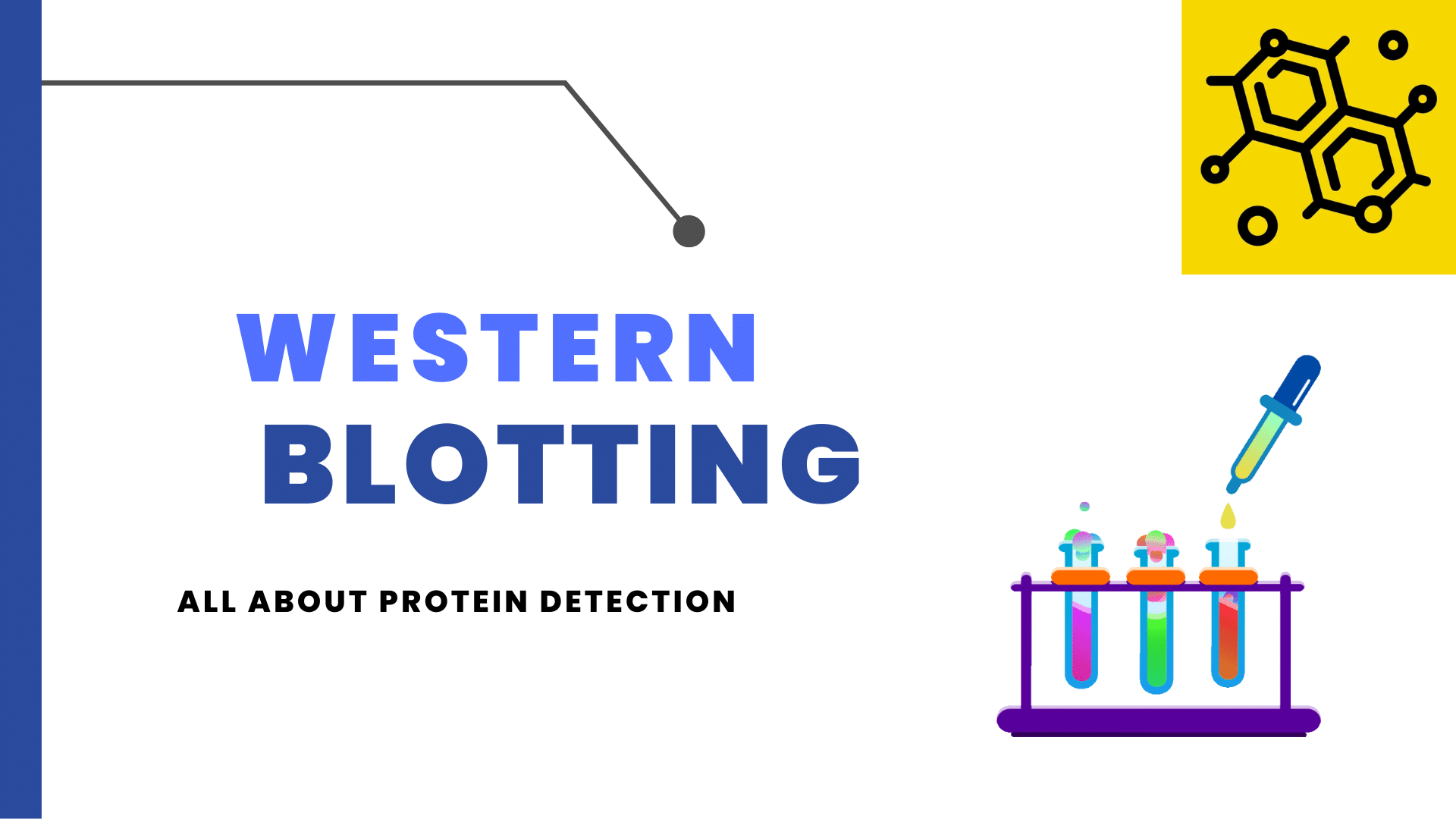 Western Blotting: Definition, Protocol, and 2 Reliable Uses - Chemistry ...