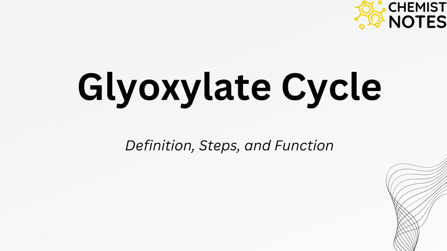 Metabolism Archives Chemistry Notes metabolism-archives-chemistry-notes