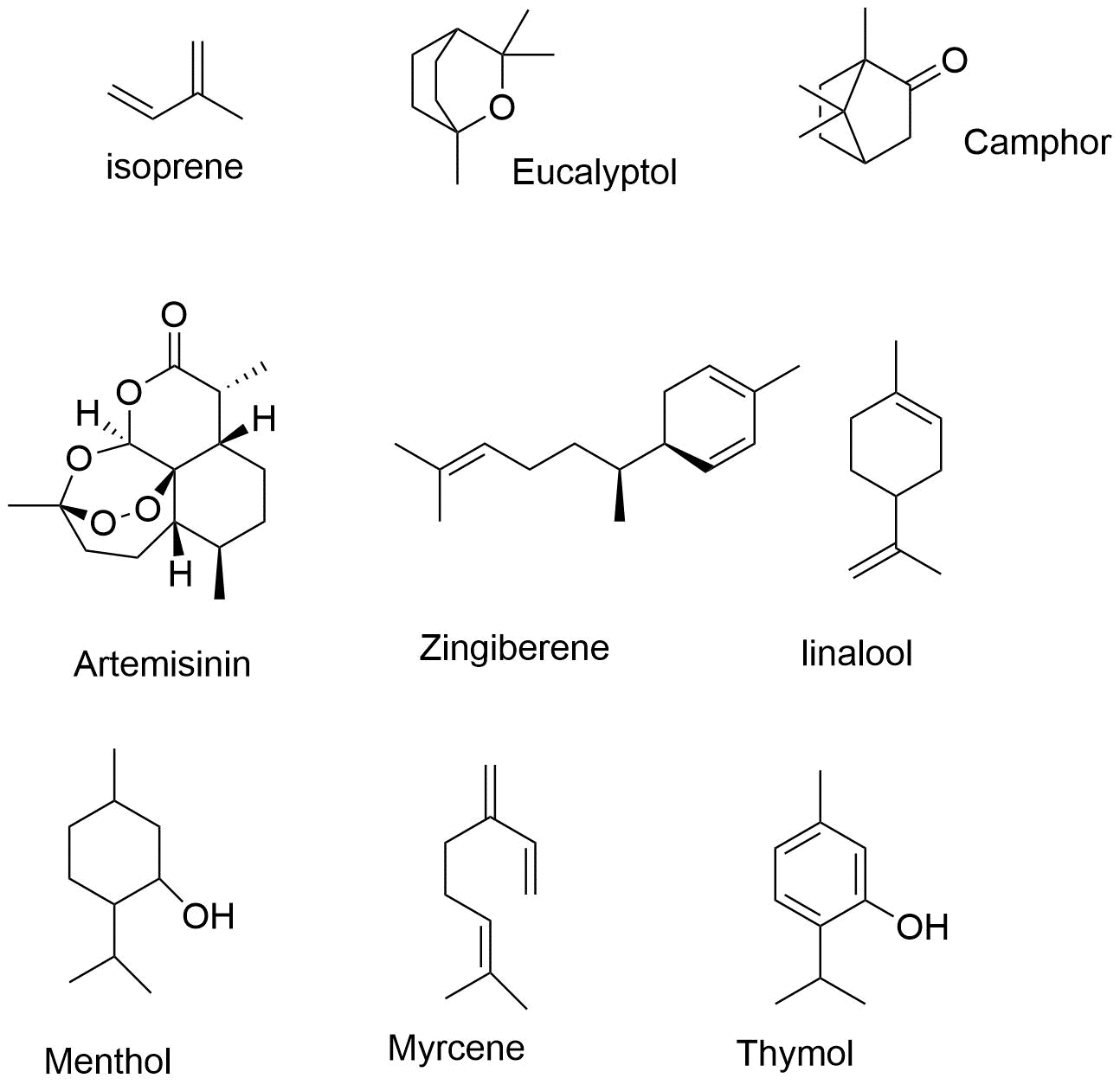 Terpenes and Terpenoids: Definition, Classification, And 3 Reliable ...