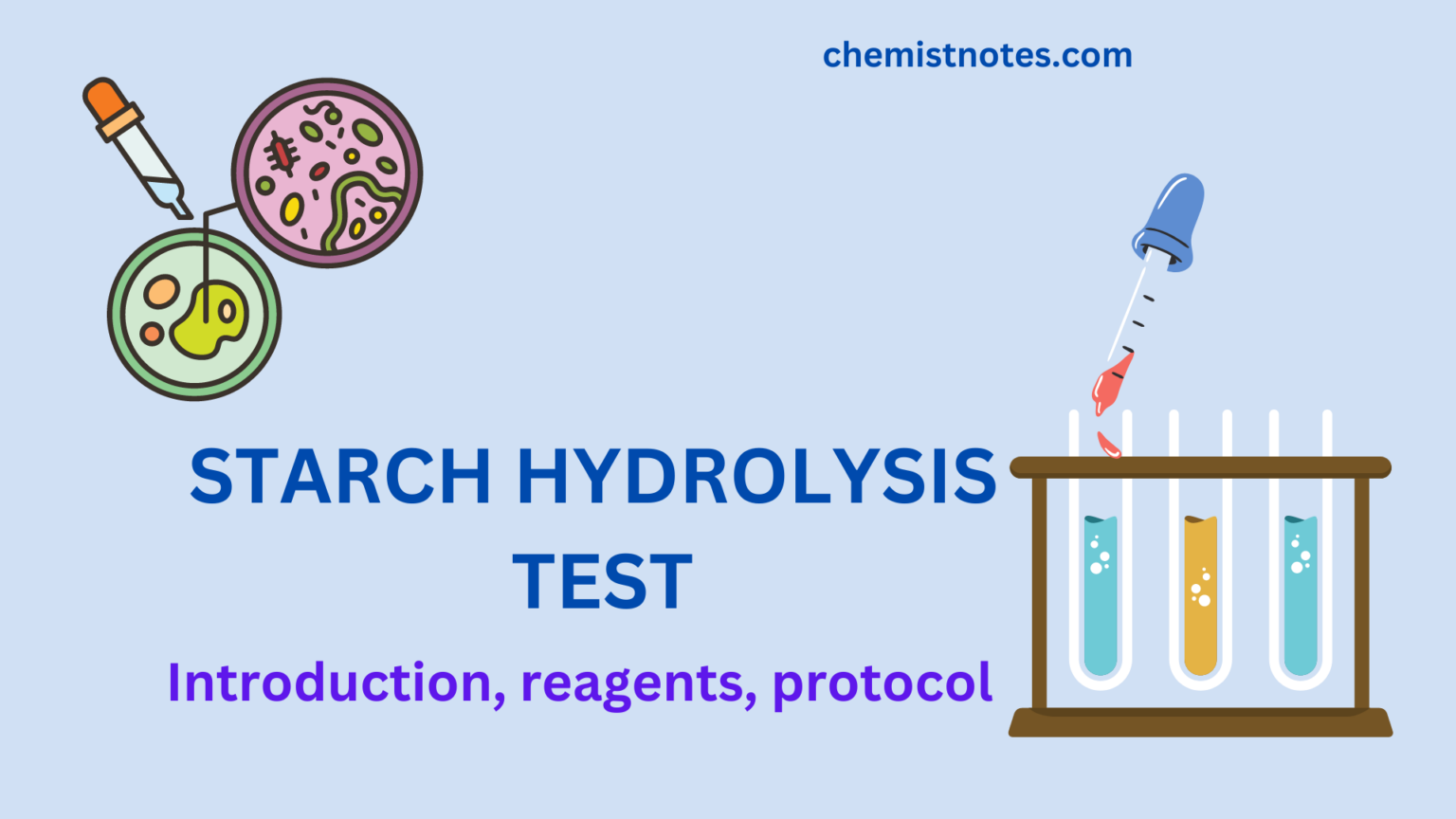 Laboratory test for protein: 7 easy protocol - Chemistry Notes