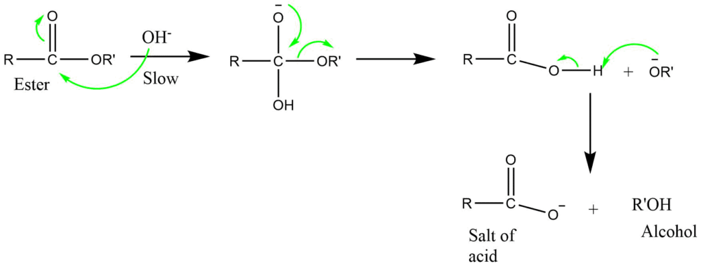 Ester hydrolysis: Easy Introduction with 8 mechanisms - Chemistry Notes