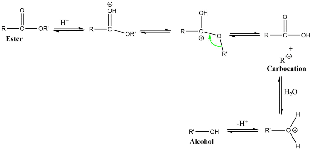 Ester hydrolysis: Easy Introduction with 8 mechanisms - Chemistry Notes