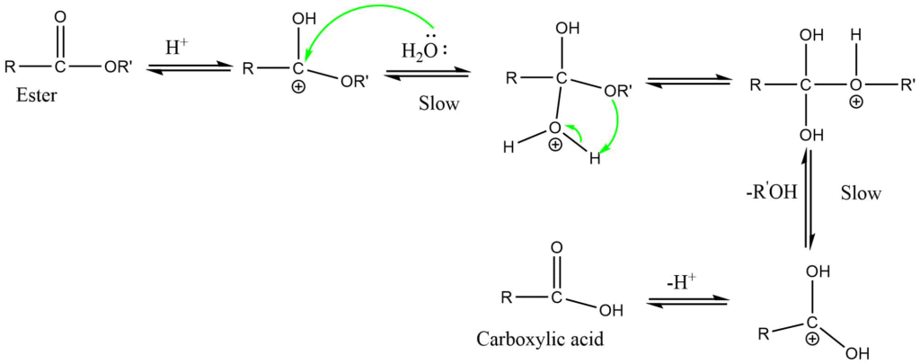 Ester hydrolysis: Easy Introduction with 8 mechanisms - Chemistry Notes