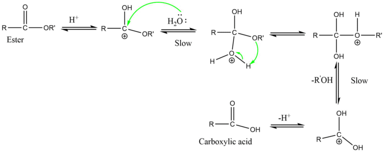 Ester hydrolysis: Easy Introduction with 8 mechanisms - Chemistry Notes