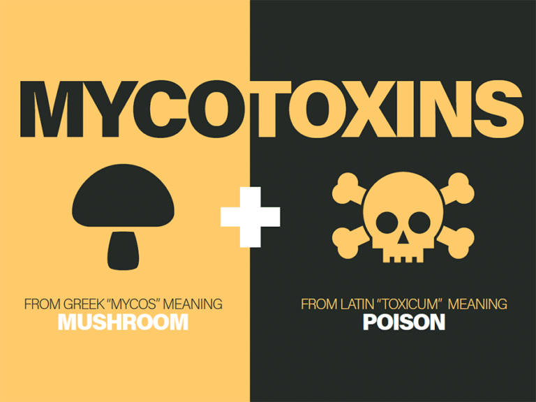 Mycotoxin: Introduction, Types, Features, and Side effects - Chemistry ...