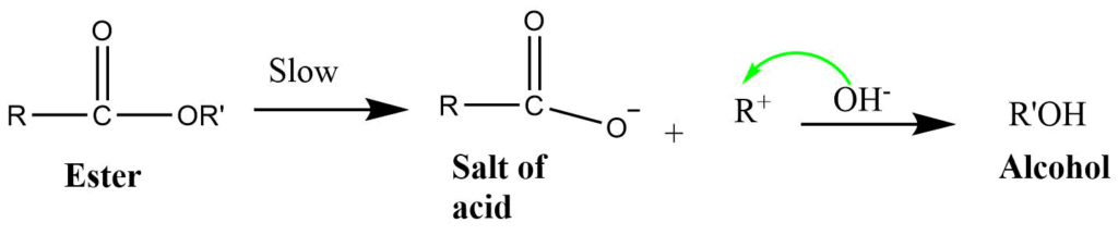 Ester hydrolysis: Easy Introduction with 8 mechanisms - Chemistry Notes