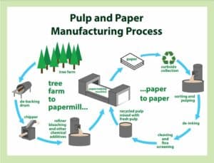 Paper and Pulp: Introduction, Raw materials, Stages, And Flow Sheet ...