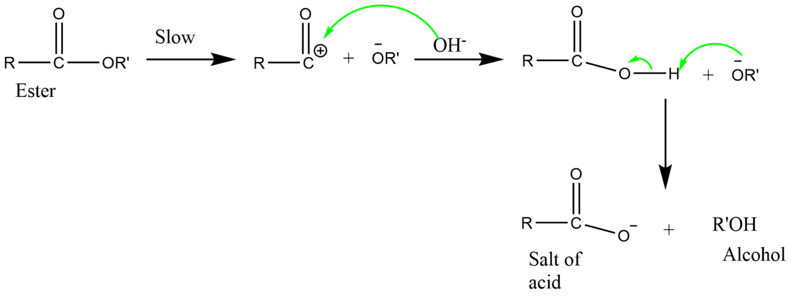 Ester hydrolysis: Easy Introduction with 8 mechanisms - Chemistry Notes